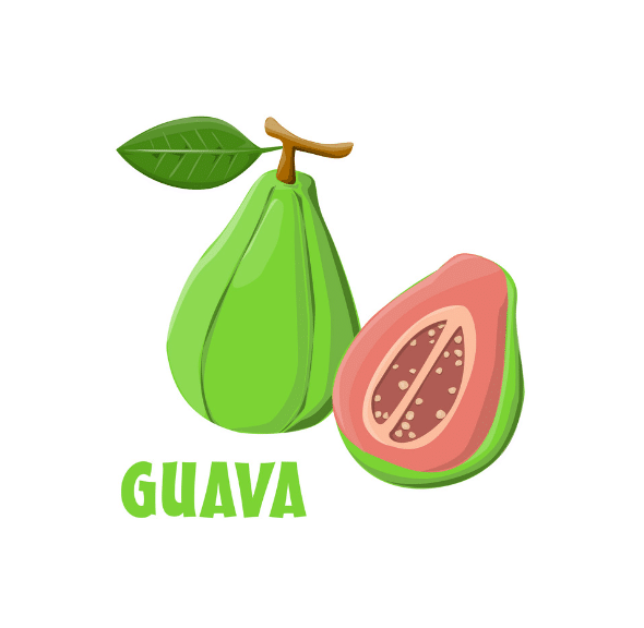Guava - JWare