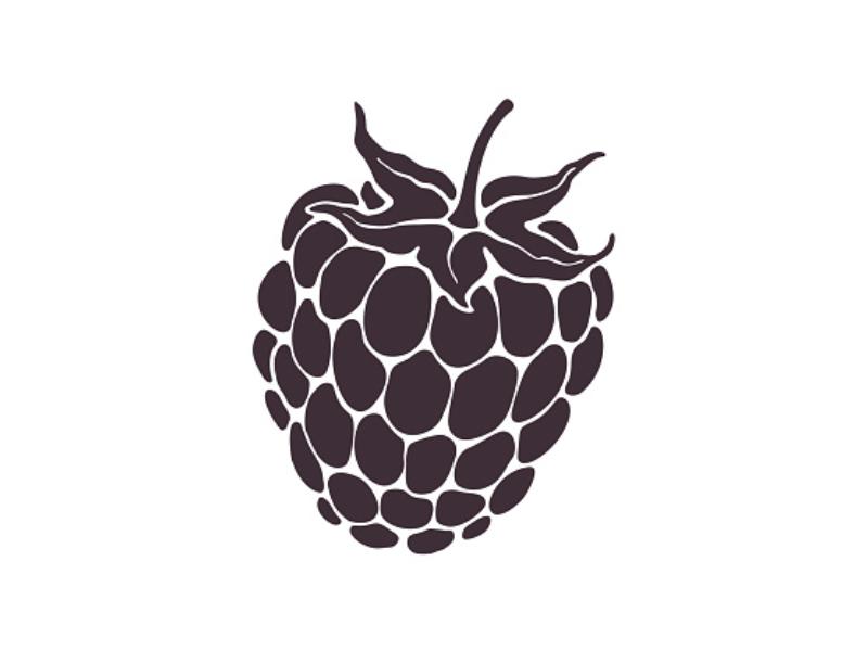 Raspberry - JWare